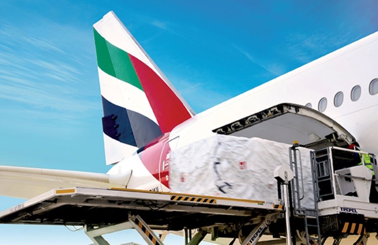 Home [www.skycargo.com]