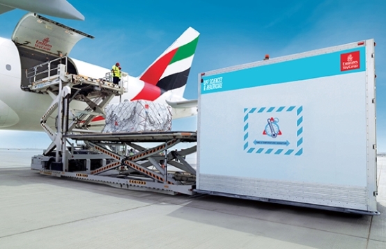 Home [www.skycargo.com]